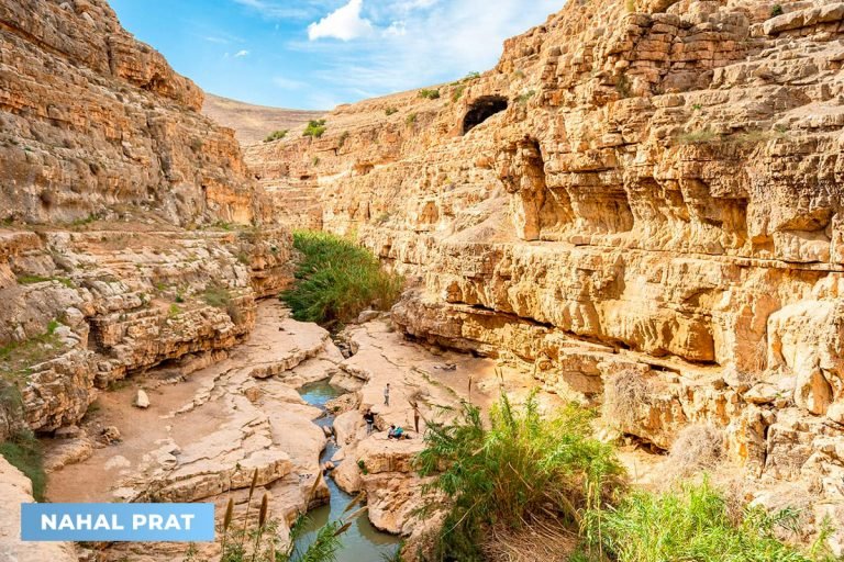 Nahal Prat: A Judean desert spring with a fascinating history • Lev Haolam